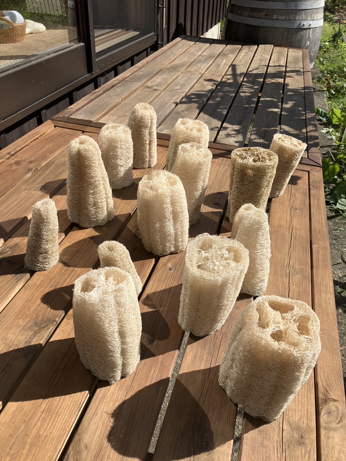 ブログ | へちまや